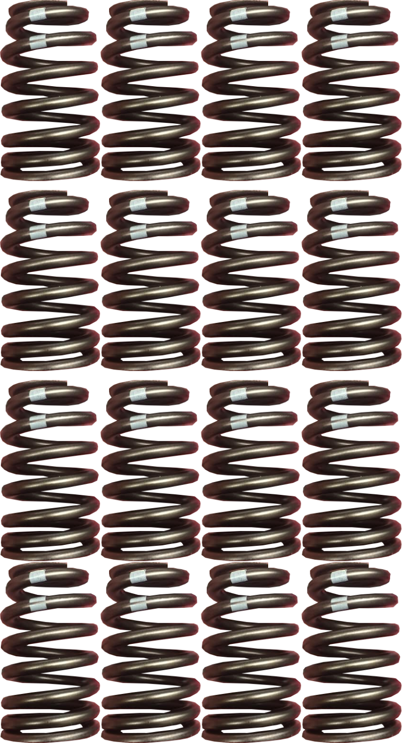 Chevrolet Performance Parts - PAC-19420455-M - CPP Performance LS Engine Valve Spring Kit (set ...